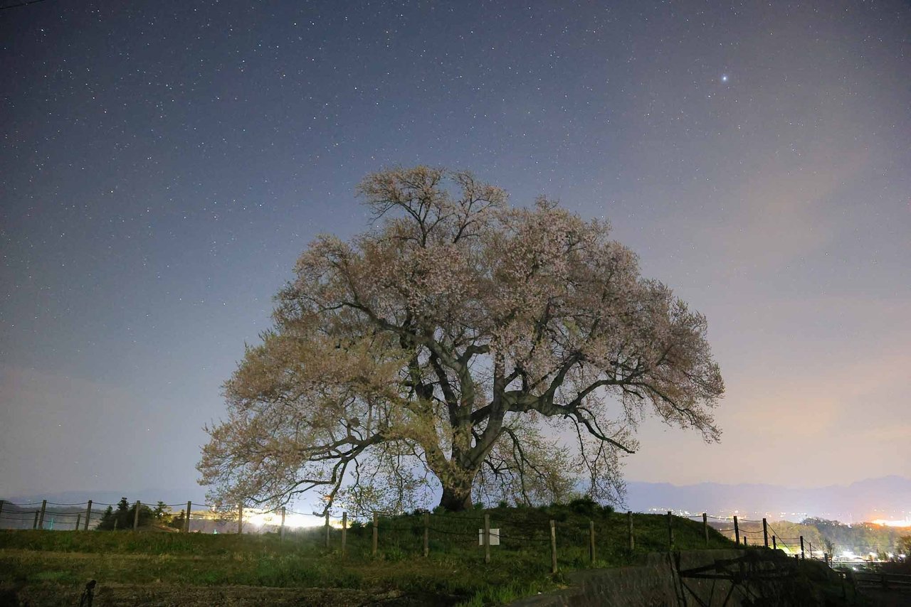 Toru Shiratori｜note