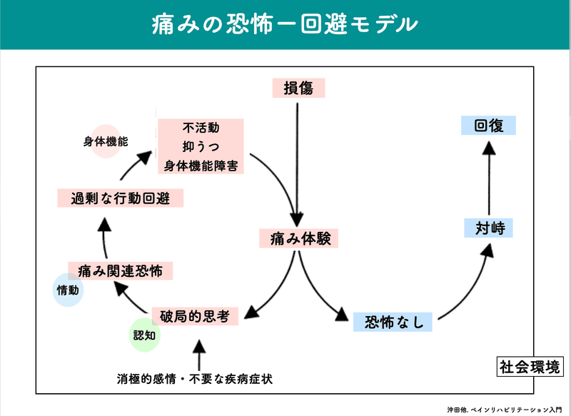 【HAMT】脳卒中後疼痛の概要-鍼灸師の関わり：Post stroke pain-｜櫛引翔太 鍼灸師 × 脳卒中認定PT