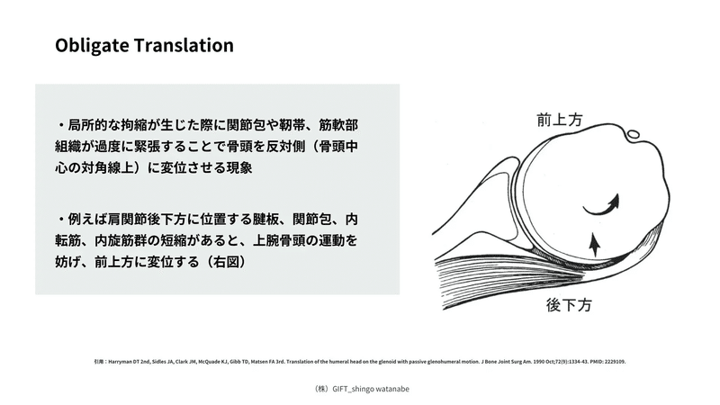 巻き肩とObligate Translation｜渡辺しんご【ピラティス / 呼吸専門家】