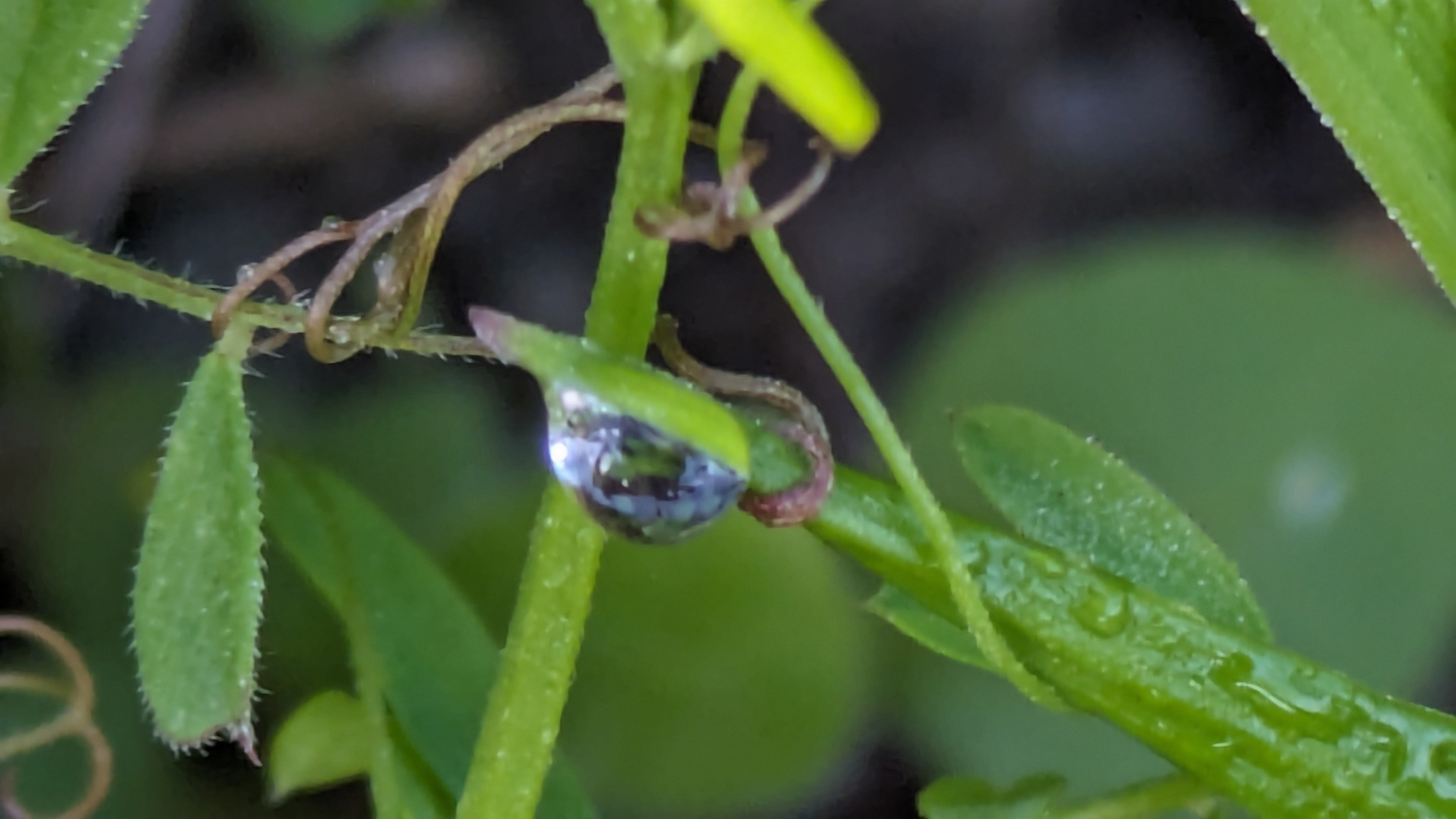 捉われる｜ichiro70