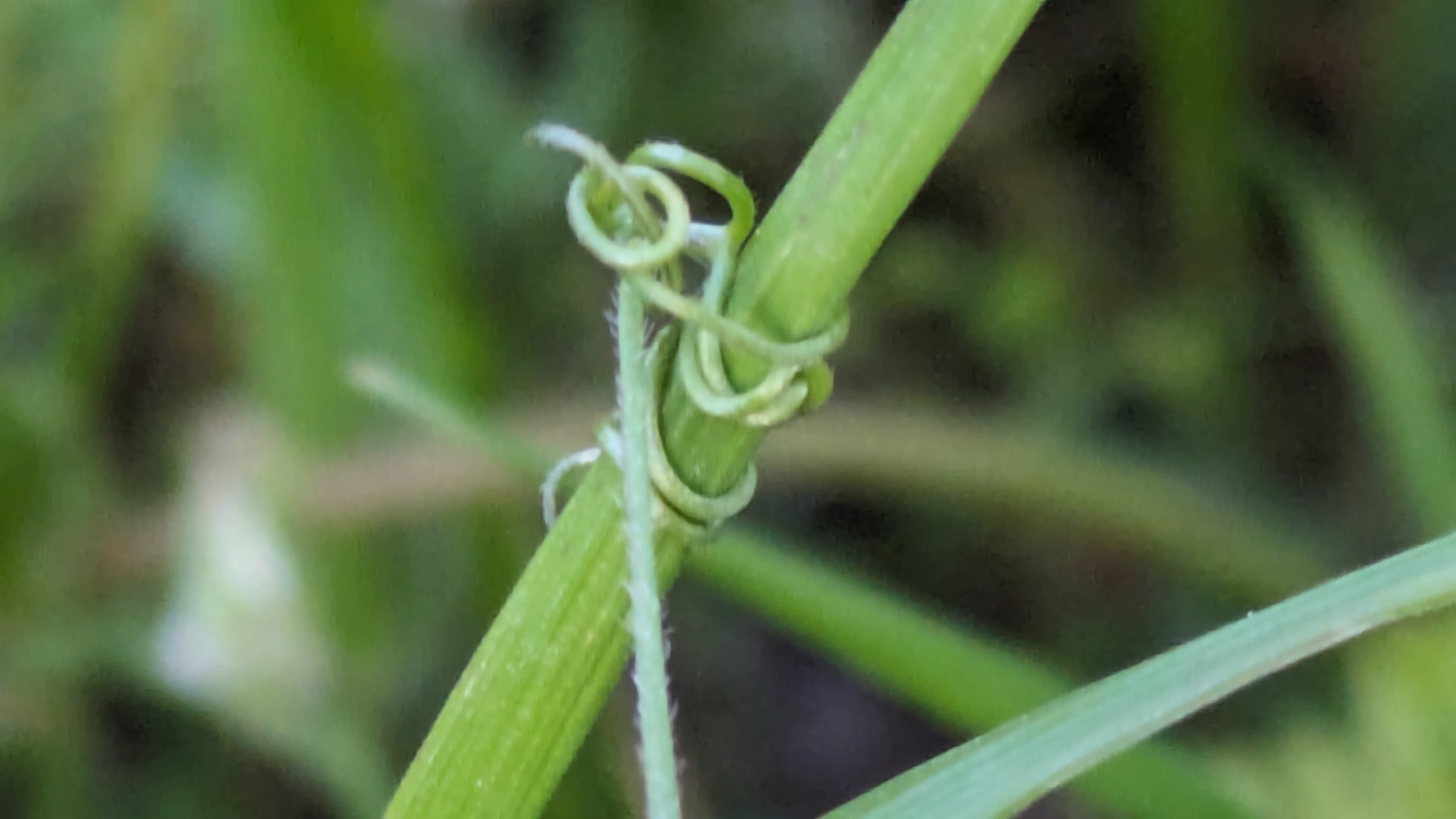 捉われる｜ichiro70