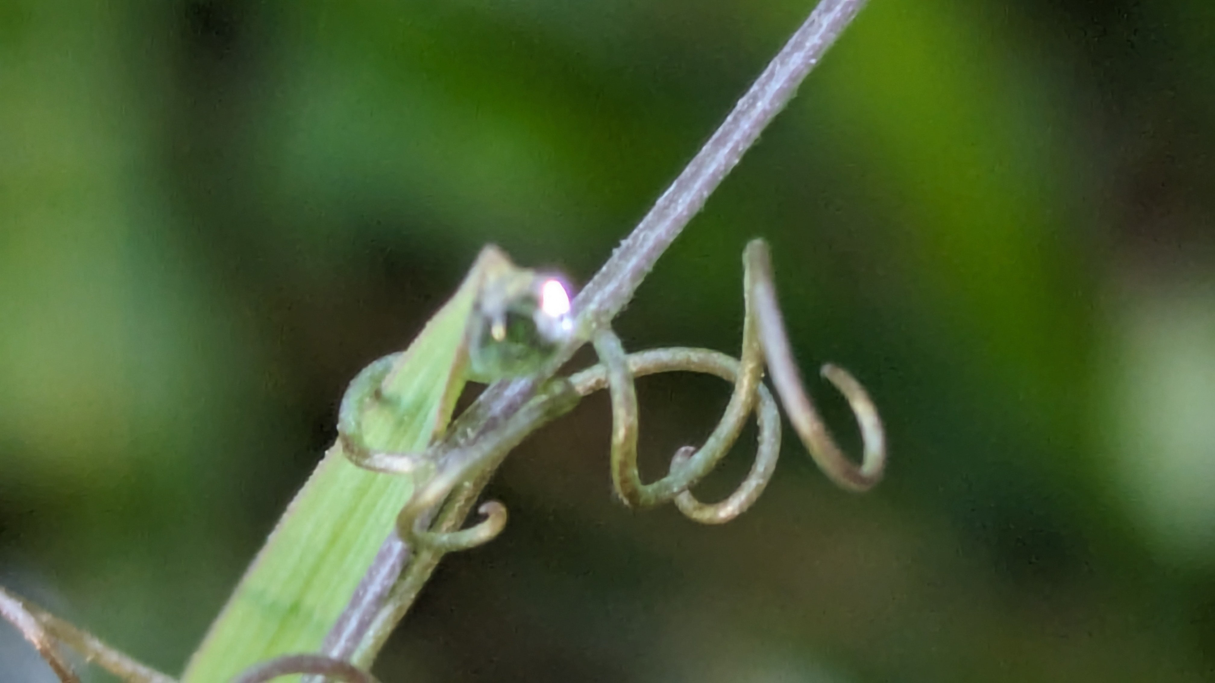 捉われる｜ichiro70