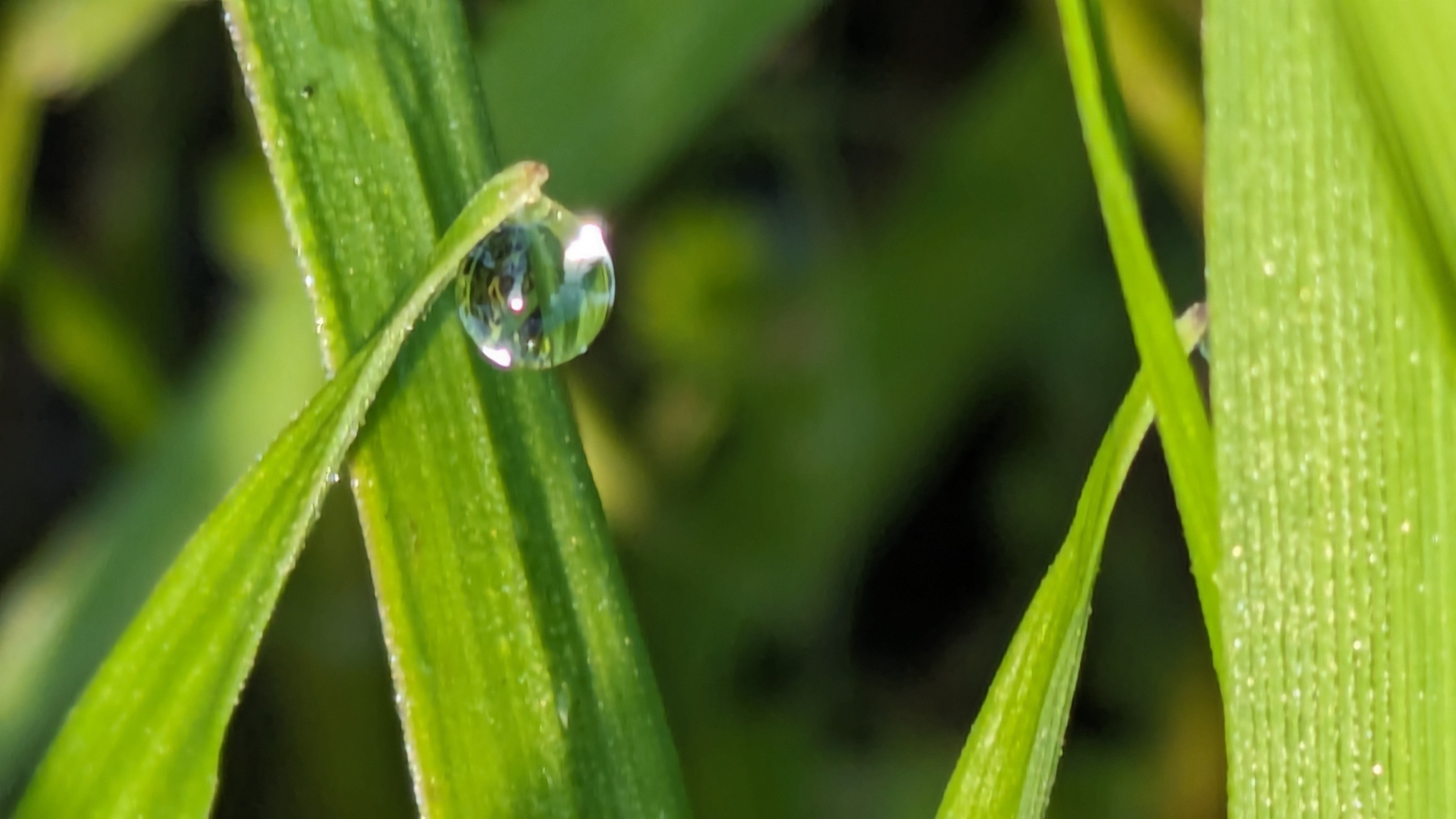 捉われる｜ichiro70