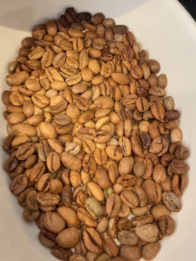 オーブンロースト｜stim_coffee_自家焙煎/コーヒー豆/ネットショップ