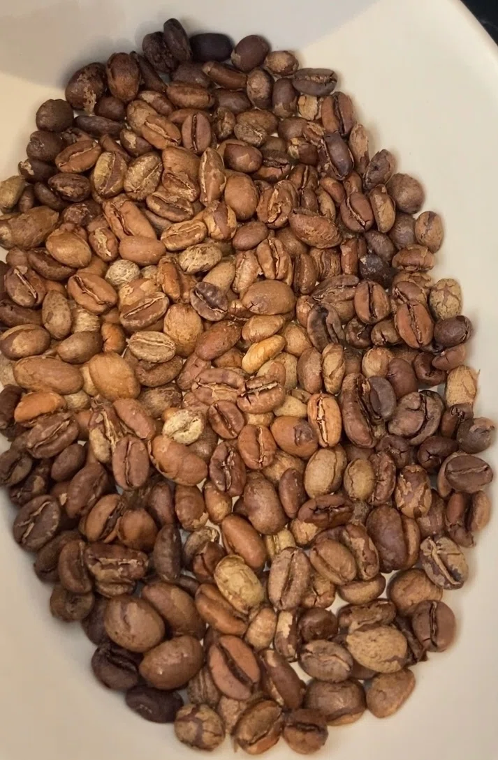 オーブンロースト｜stim_coffee_自家焙煎/コーヒー豆/ネットショップ
