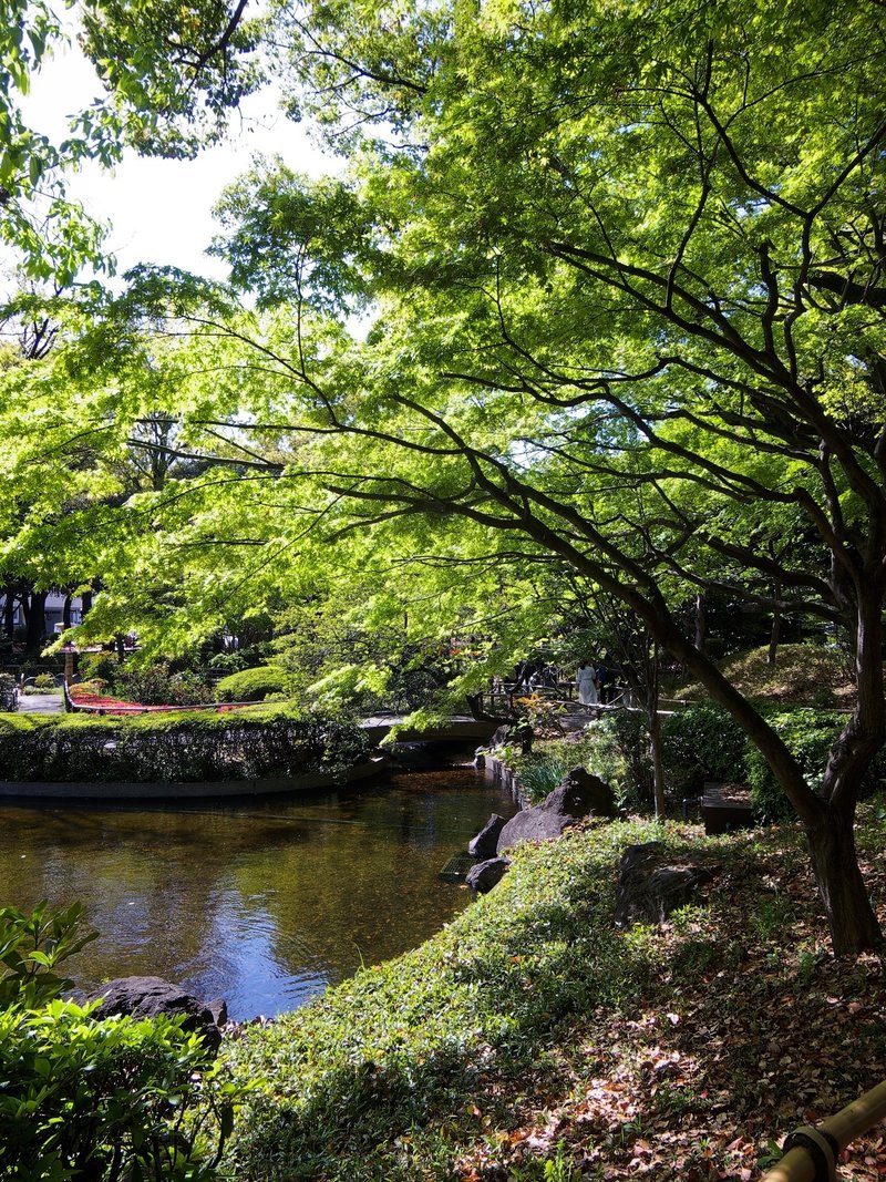 PowerShot S95はDXOで蘇る？ 〜横浜公園等で撮り比べてみた〜｜某若夢話