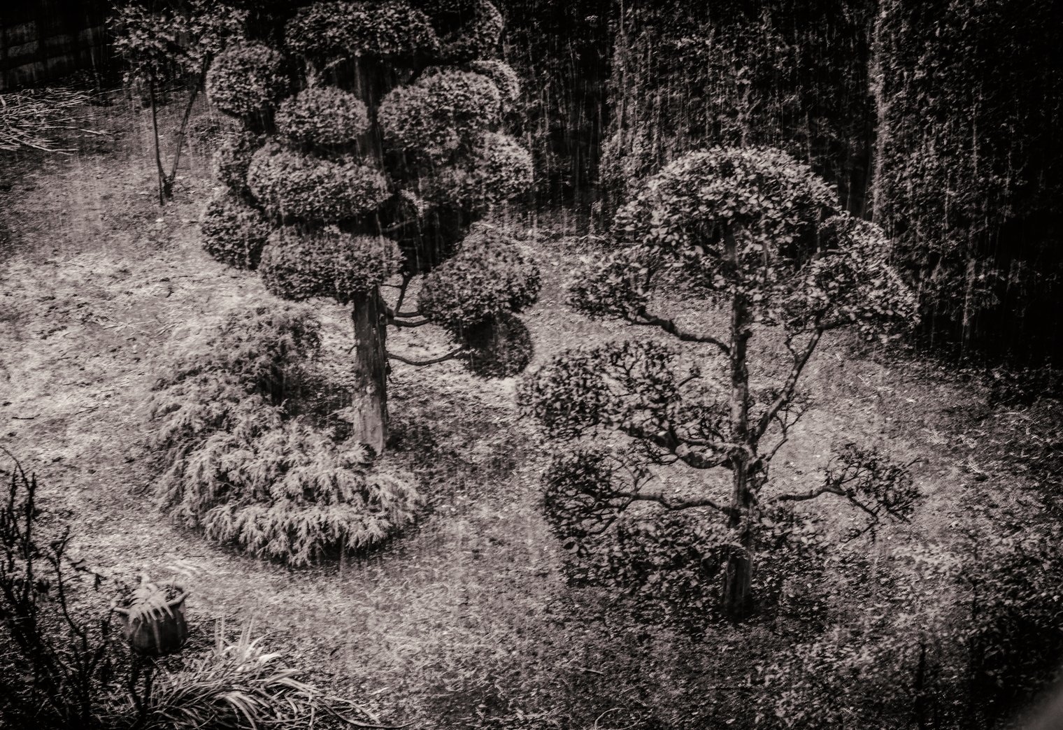 風景｜町本修一（Shuichi Machimoto）