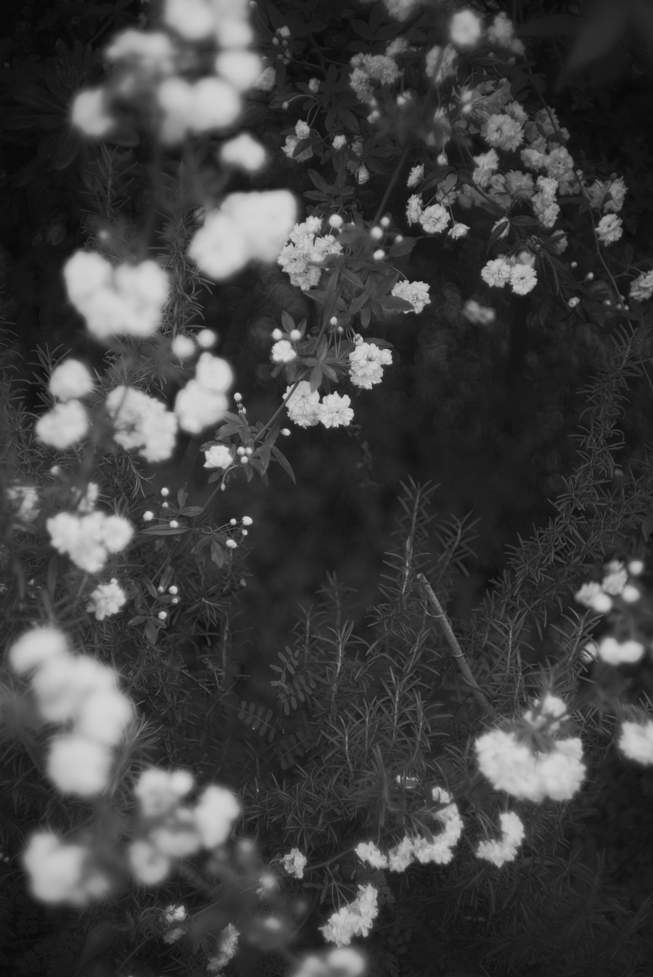 declic | Kenji Miura｜note