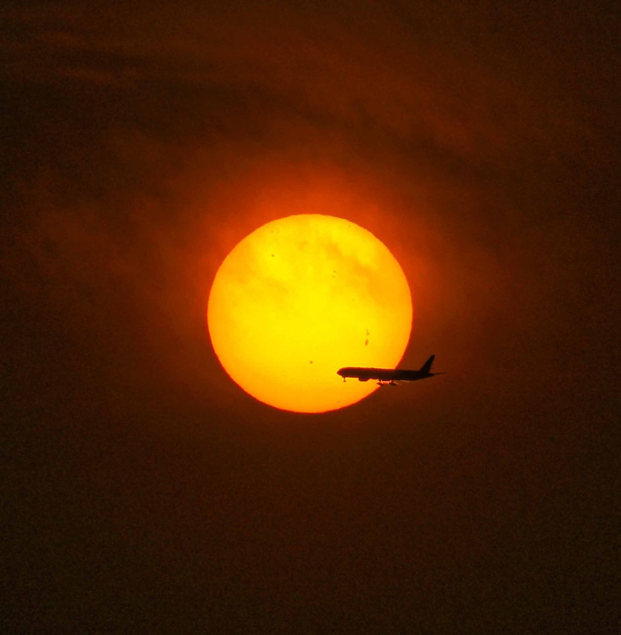 Toru Shiratori｜note