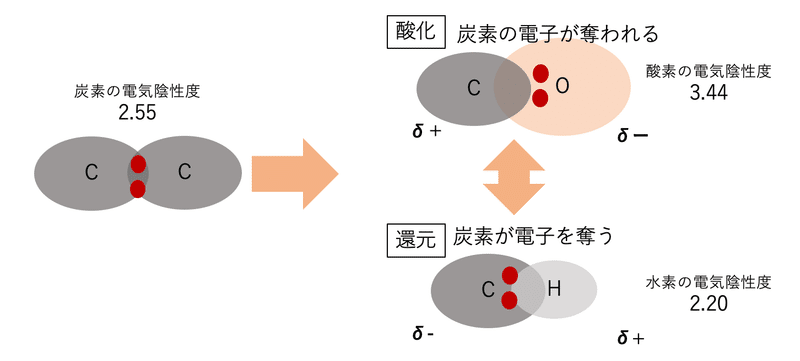 Off Flavor入門〜⑬酸化還元の基礎｜Shiro Yamada