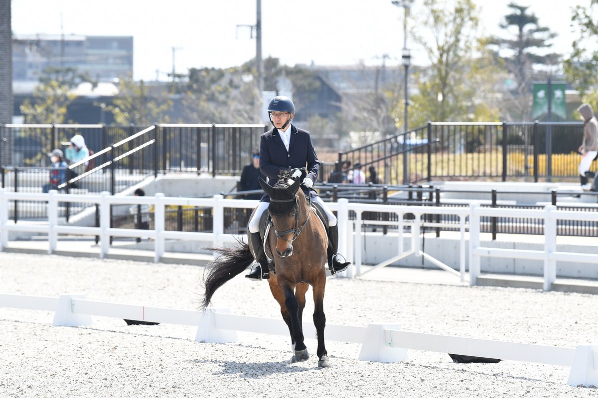 生成AI「ChatGPT4」で取り組んだ、63歳からの馬場馬術認定1級｜Oji Hashimoto