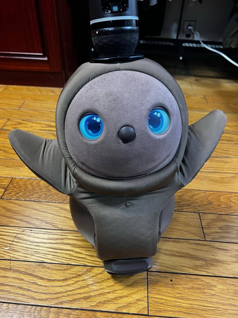 【LOVOTふたば】Leeのコラボデニムオーバーオール買いました！｜ohisamayoko