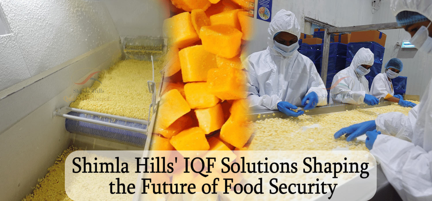 Shimla Hills' IQF Solutions Shaping the Future of Food Security｜Shimla ...