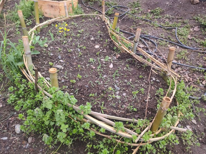 シャンティクティガーデン｜shanthi-usui