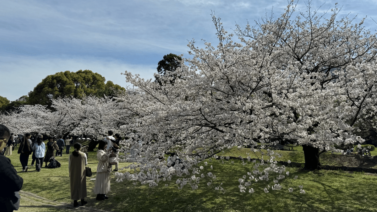 24年4月に新社会人になった私【SPEC一期生MN】｜TSUKURU株式会社