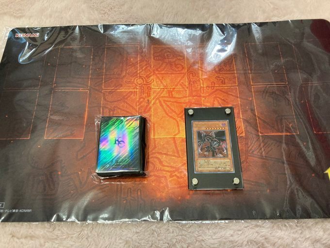 YCSJ東京2024入賞(ベスト64位)に関する振り返り｜ユーゴ@プップクプー