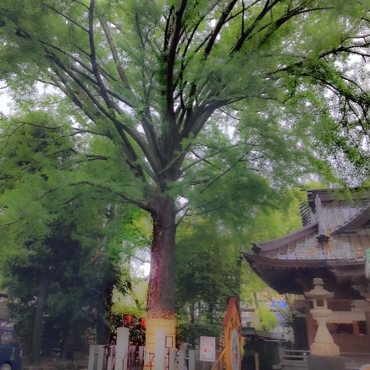 Roria's Moonroom｜note