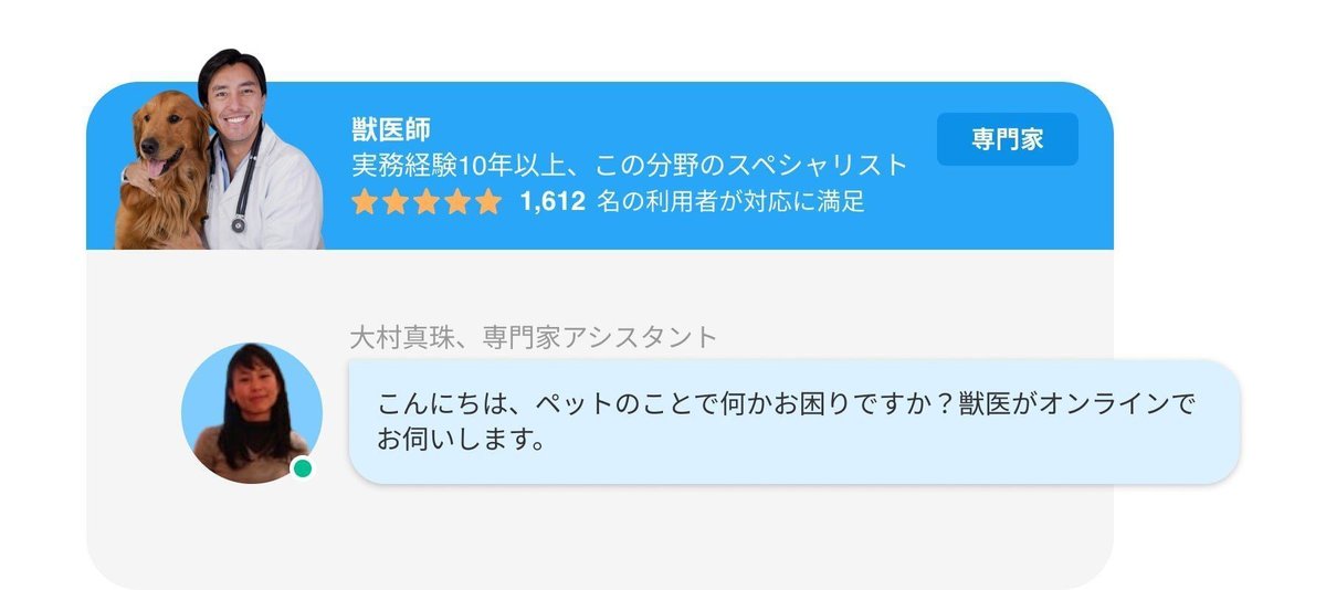 専門家に質問するサイト「ジャストアンサー（JustAnswer.jp）」、検索広告でよく見るけど、どんなサービスなの？｜ジャストアンサー(JustAnswer.jp)｜ネットで本物の専門家に ...