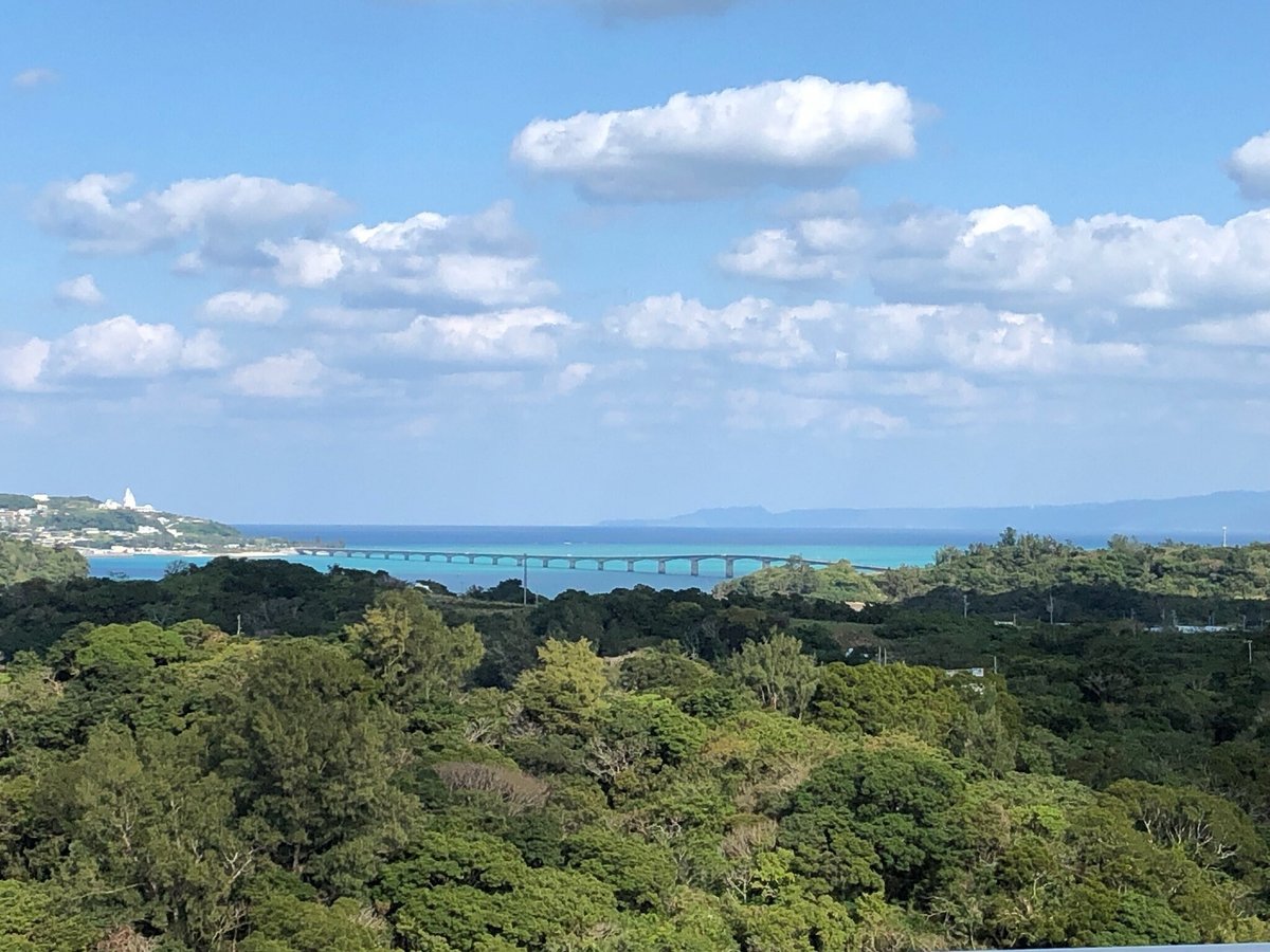 会いたい人に会いに行く NO4 −1沖縄編｜mimoza 手作りキャンピングカー 旅と畑