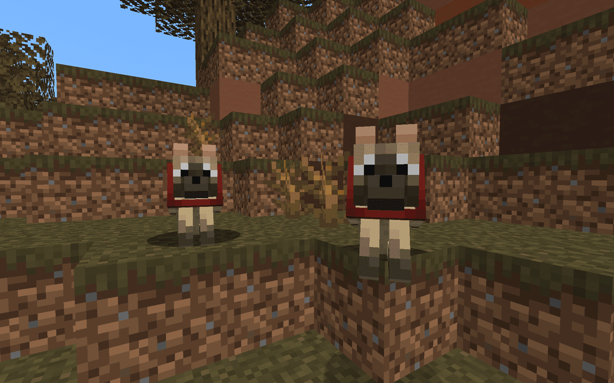 【マイクラ日記#6】アップデートが来た！【Minecraft JAVA1.20.5】｜まさと