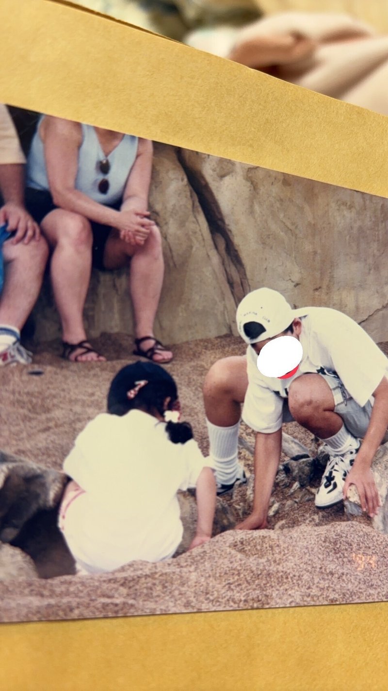 2024年2月【WDW&UOR】ハネムーン旅行記 vol.8〜アニマル・キングダム〜｜ひとり夫婦