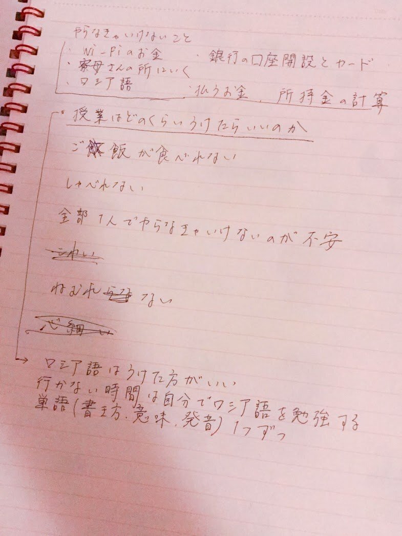 不登校だった娘がロシアでバレリーナになった話#7(バレエは人生)|maruちゃん