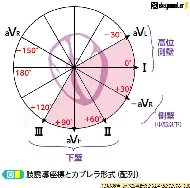 【第50回】Dr.ヒロの学び直し！心電図塾X/Tiwtterまとめ｜えかげますたぁ｜Dr.ヒロ