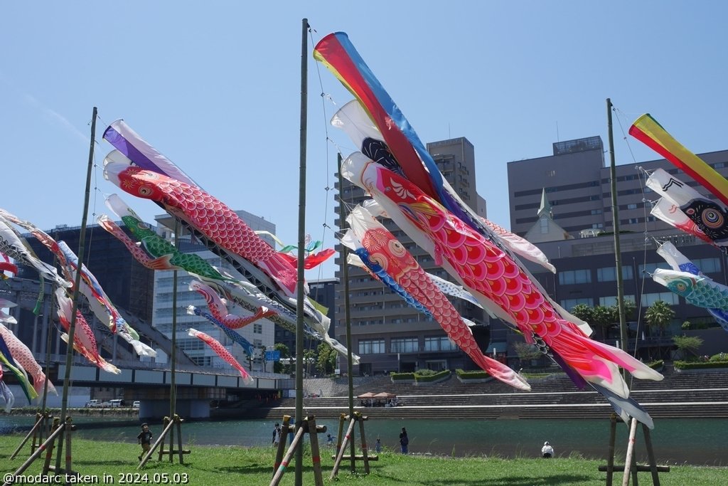 鯉のぼり in May 2024｜modarc