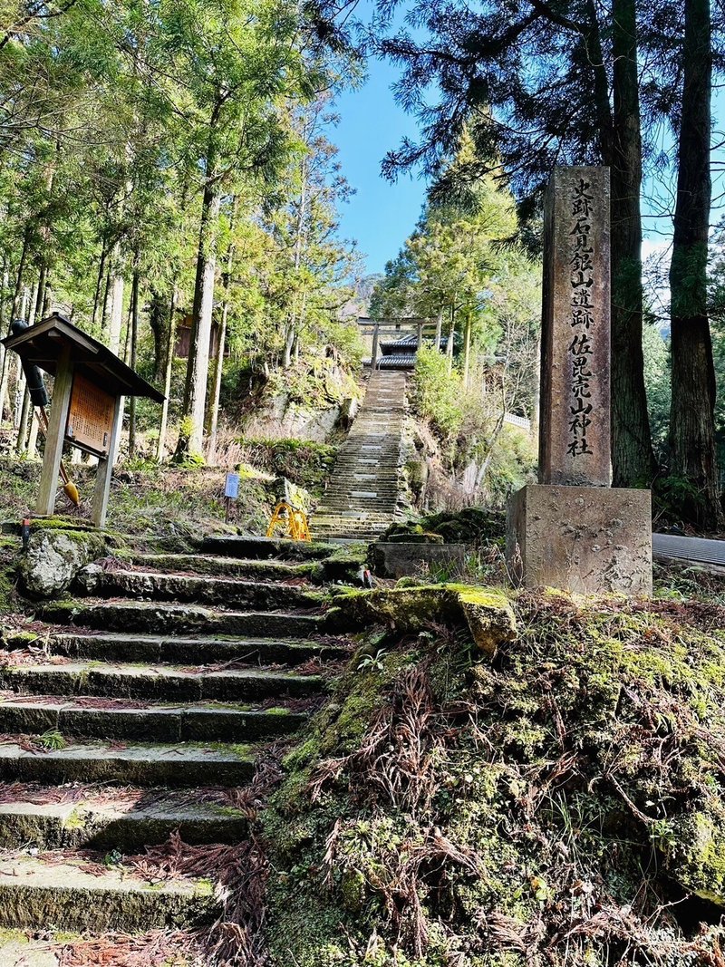 【転職】保育士留学でみつけた「私にとって大切なこと」〜後編／キャリア迷子だった私。世界遺産の街での挑戦の先に｜株式会社WeNeed