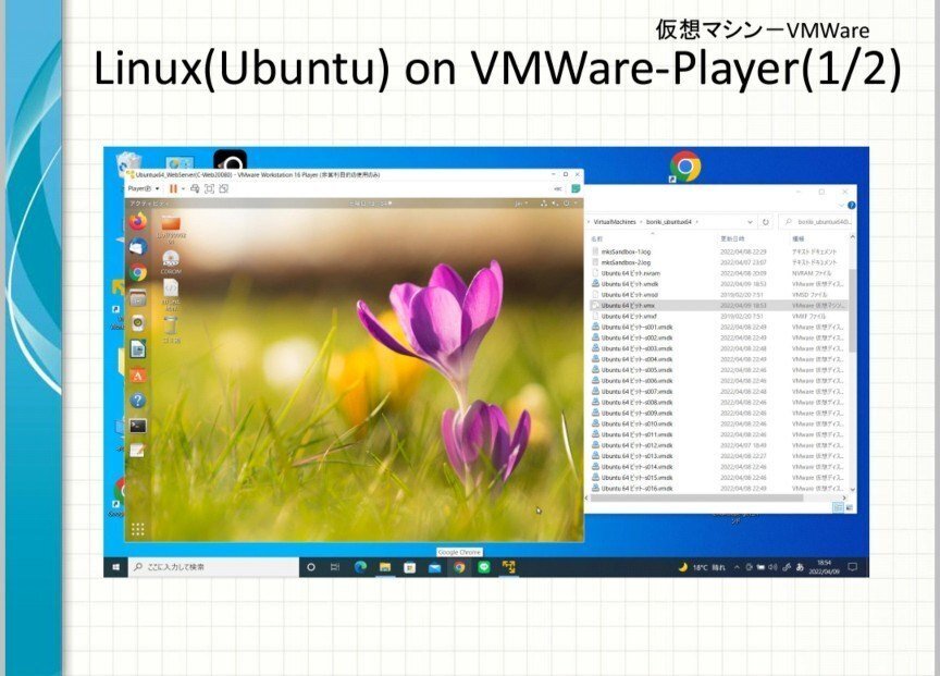 Vmware playerでWebサーバー｜仮分数ボリキ