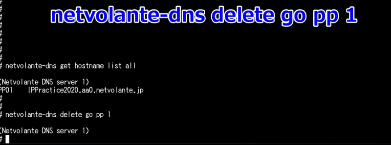 ヤマハルーター交換時に注意するべきネットボランチDNSサービス設定｜IP実践道場