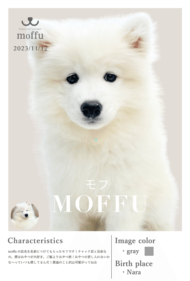 moffu FAMILY紹介｜Samoyed Lounge moffu