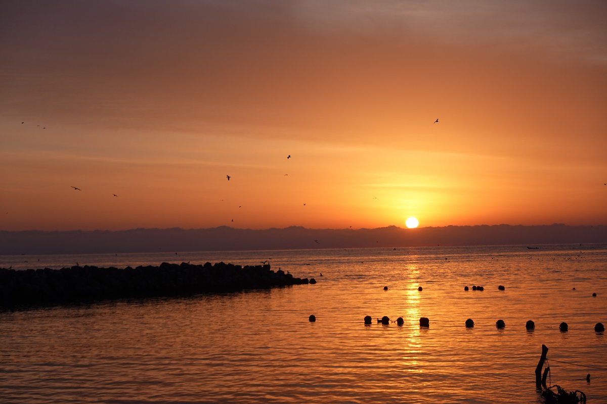 本州最北端の地「大間崎」を目指す旅 国内旅行記・青森編Vol.3 ↑ネコいます｜Tsuchinoco