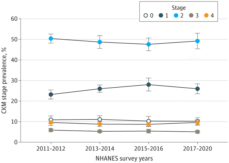 CKM 症候群｜Makisey
