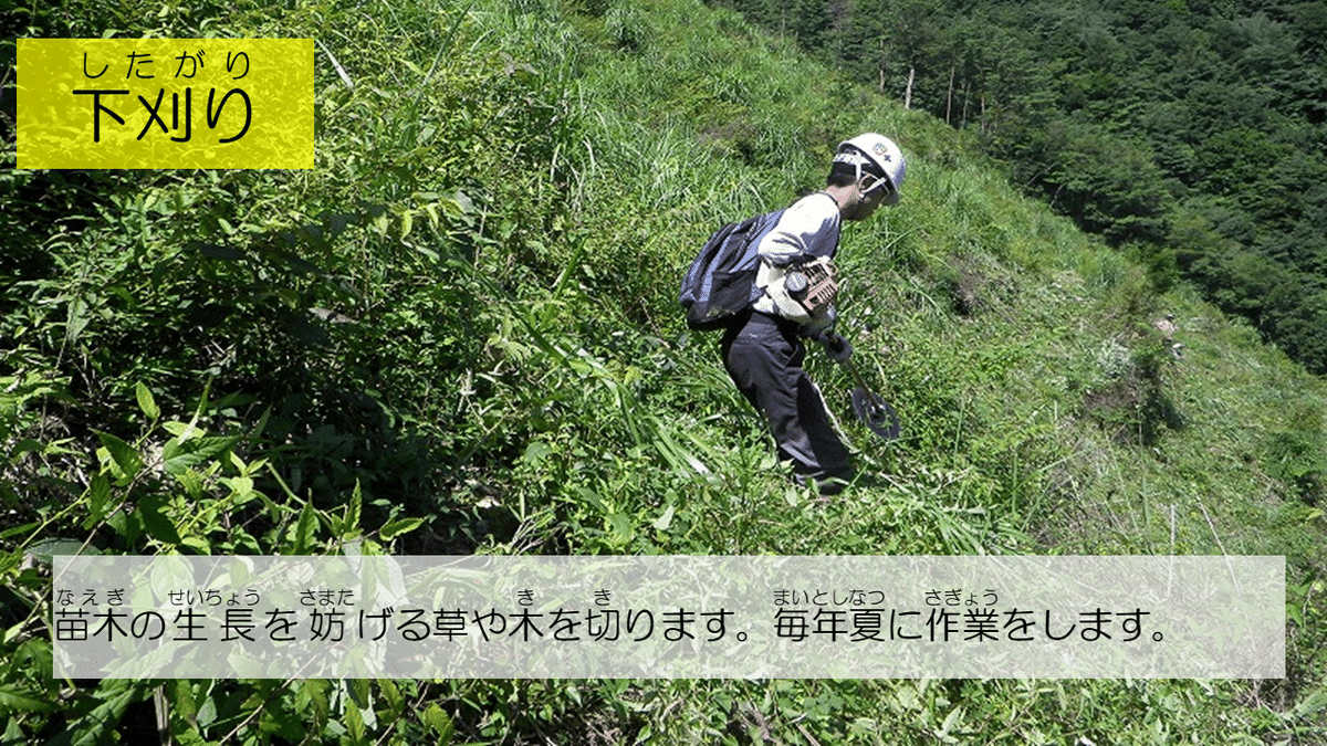 ＃秘境で働く 山師のおしごとvol1【求人あり〼】｜世界に一つだけの椎葉 椎葉村公式note