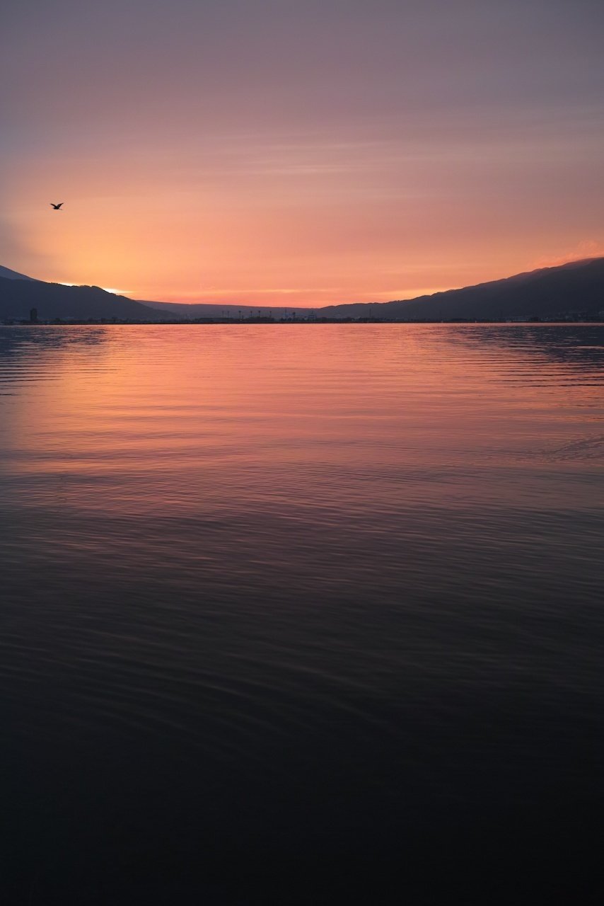 湖の朝3｜Hiko Miya