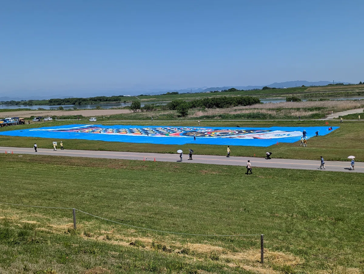 🎏利根川河川敷緑地公園 澄み切った青空の下で、気持ち良く遊泳するジャンボ鯉のぼり 埼玉県 加須市 『 Tone River Riverside ...