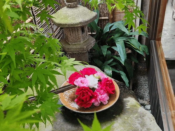 5月の光り、まぶしー｜moco