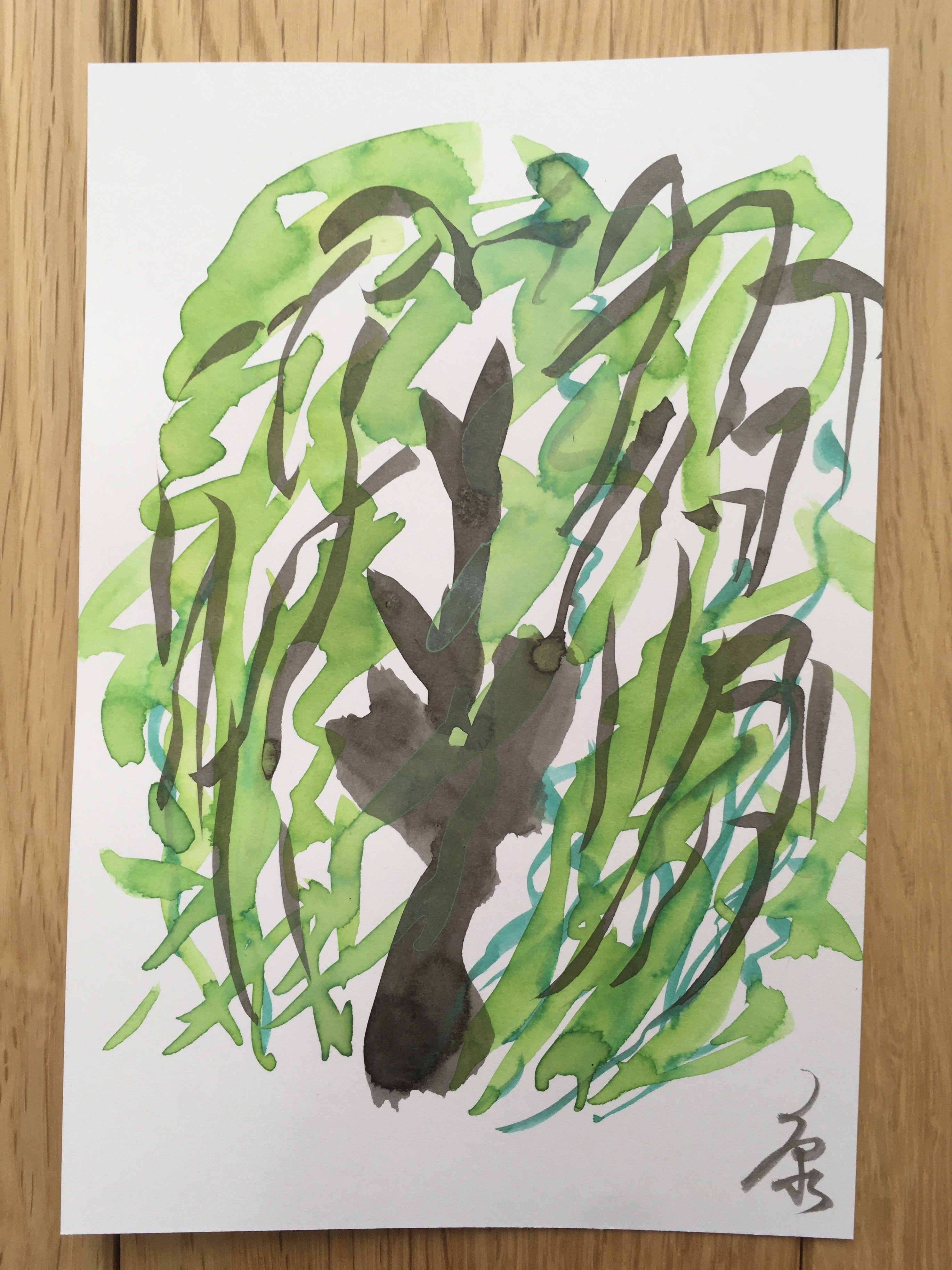 『今月の記念日ポストカード』5月13日 柳｜康寧堂