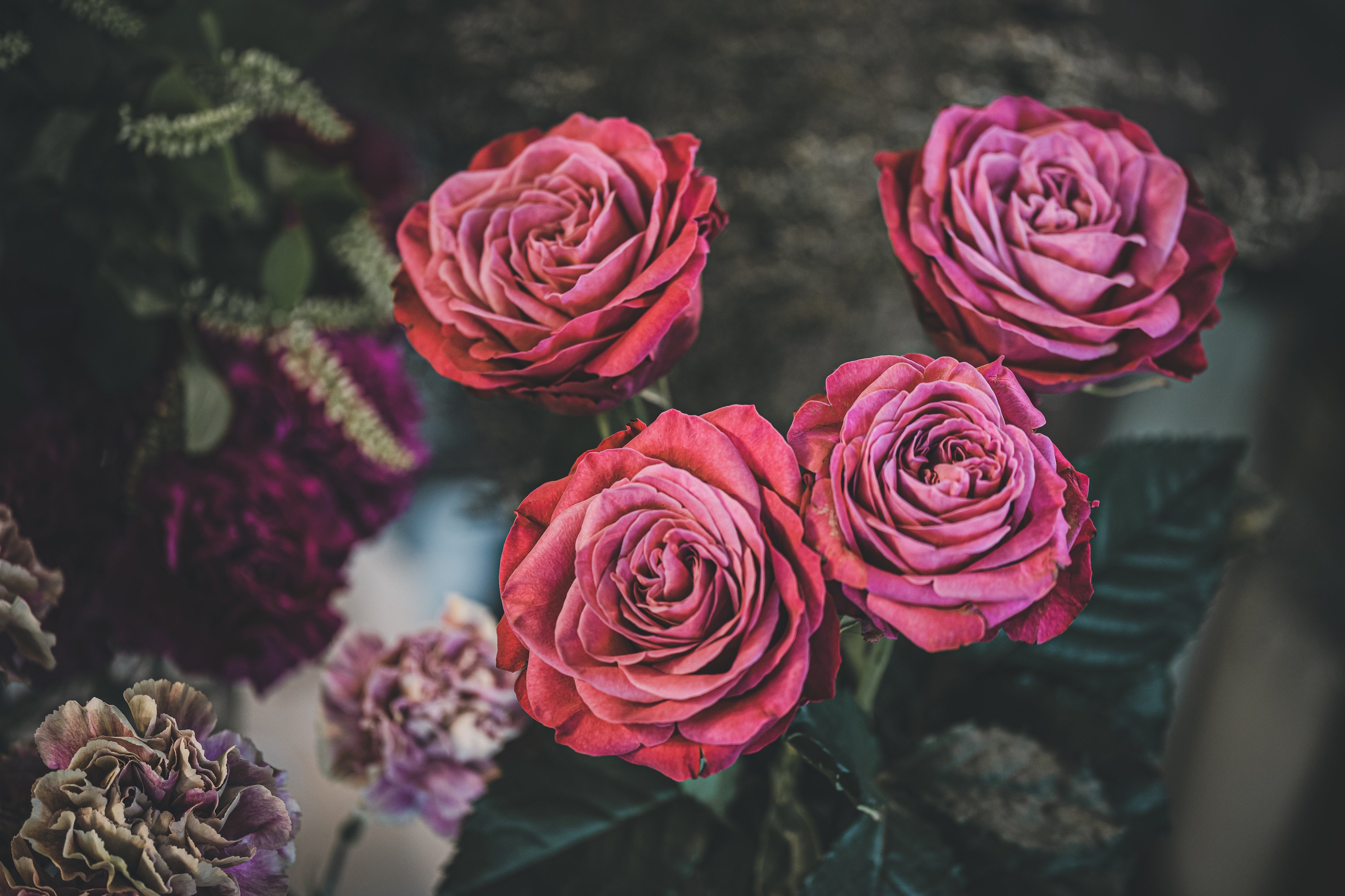 2024/05/12 - そして生活記録｜SAWA｜Photographer