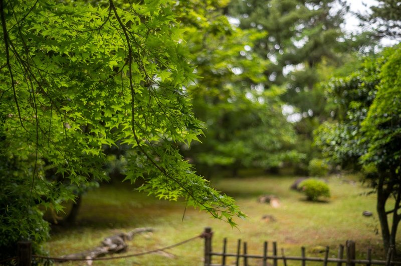 名古屋ウォーク Day 2｜helloryuji