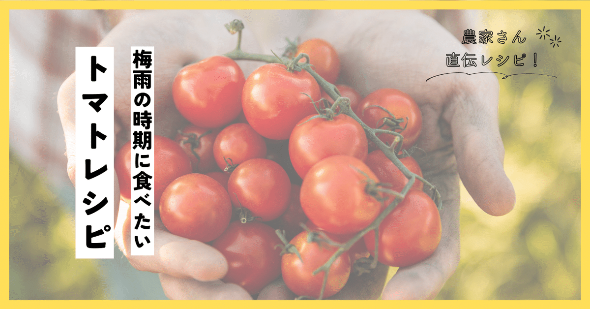 トマト農家に聞くトマトの育て方。おすすめ初心者向け簡単レシピも紹介🍅【Pocket Ownersで推し農家×岡田農産さま（加西とまと）】｜【公式】EXest株式会社（エグゼスト）