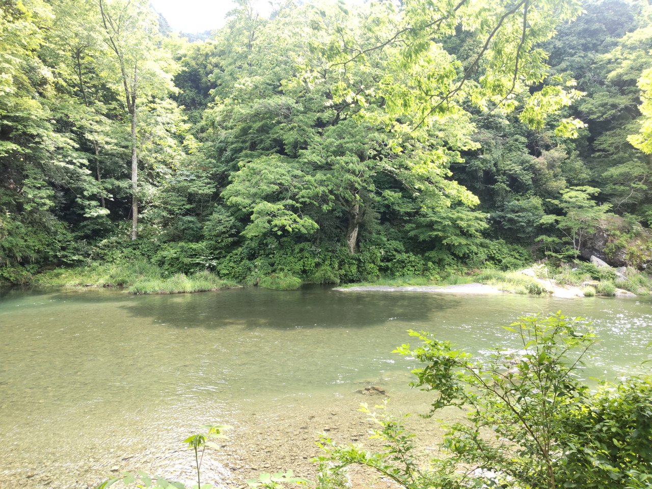 Roria's Moonroom｜note