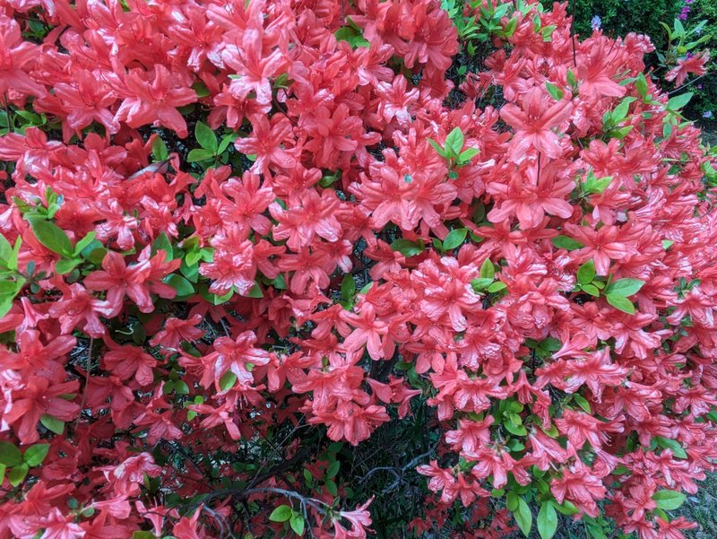 FIREした理由④FIREまでの足踏み｜桜川旅人（Tabito）40代FIRE