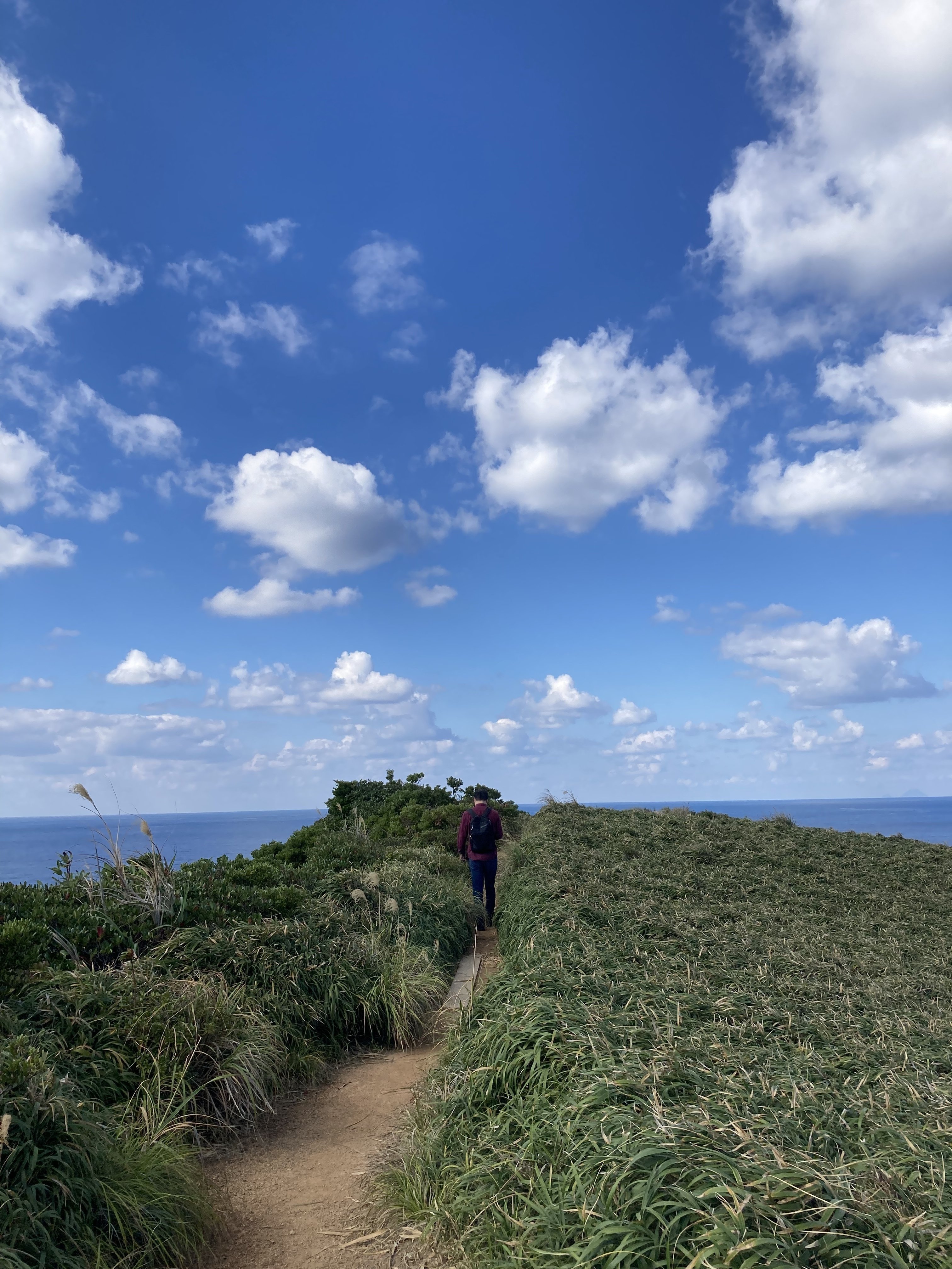 たびさき風景（2024/1）奄美大島｜tomoko