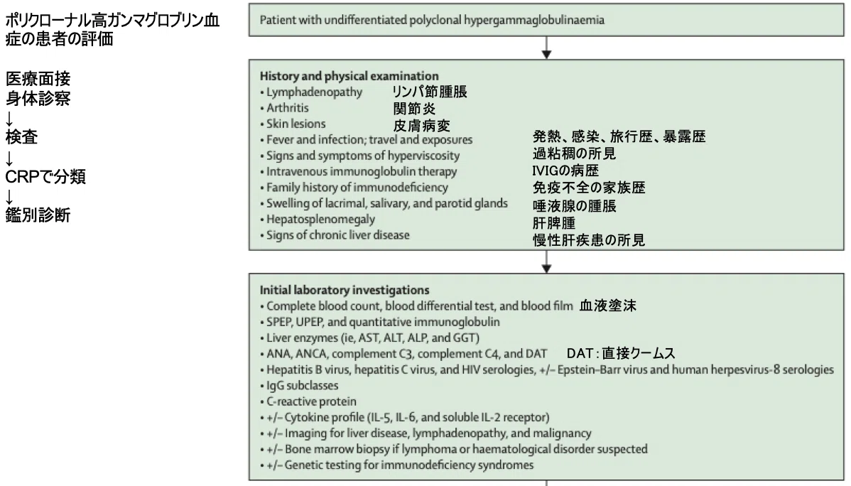 Polyclonal hypergammaglobulinaemia: assessment, clinical interpretation ...