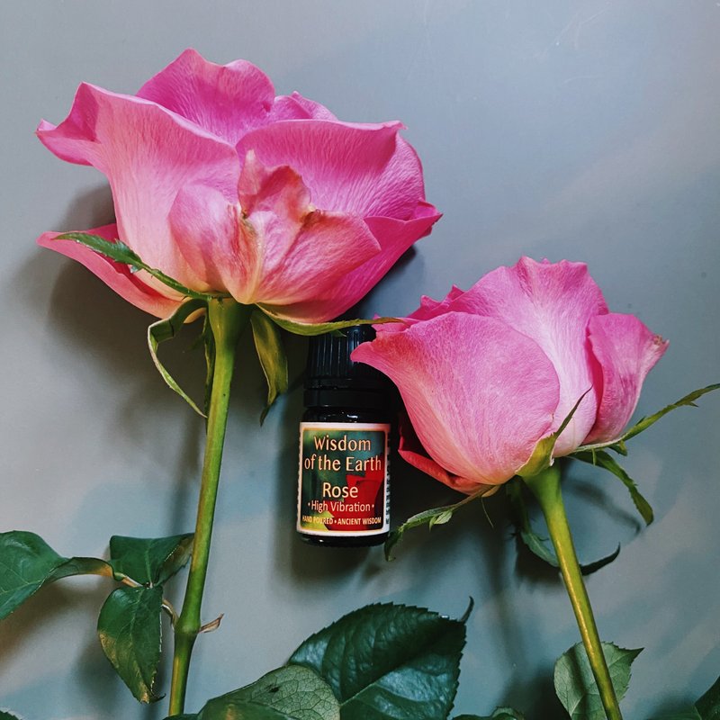 愛の象徴 ローズの精油｜Oli(オリ）