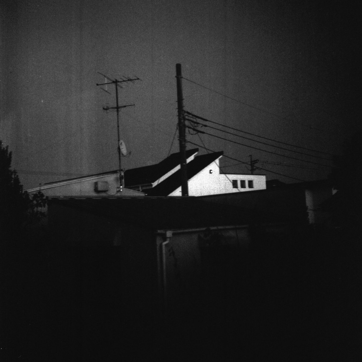 叶わない｜OHO KANAKO