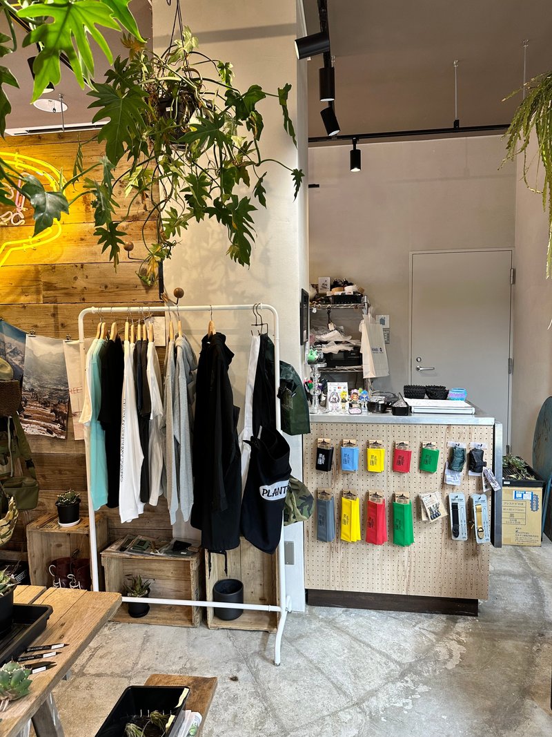 仙台のアガベ専門店『PLANTISTIC!』さんについて｜KONY