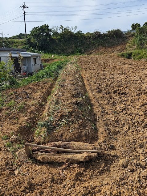 異変は突然訪れた｜koichi kimoto